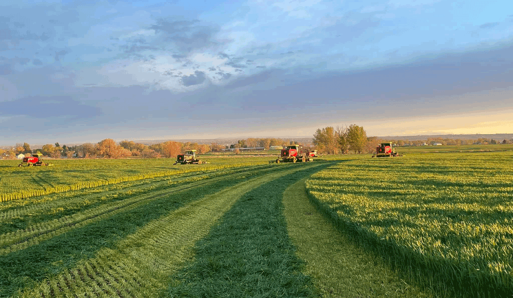 [Video] Color Conversions: Intermountain New Holland