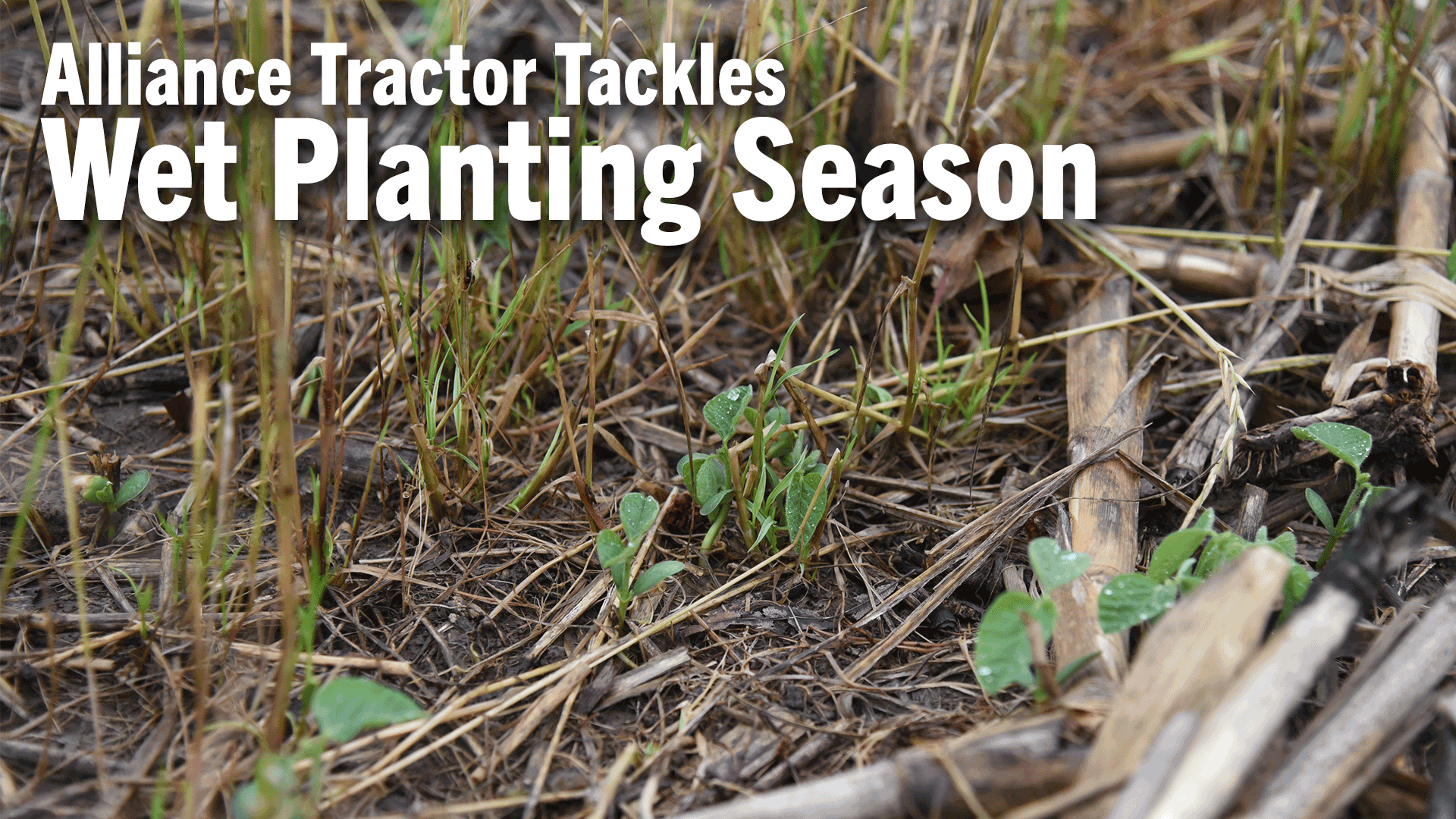 [Video] Alliance Tractor Tackles Wet Planting Season