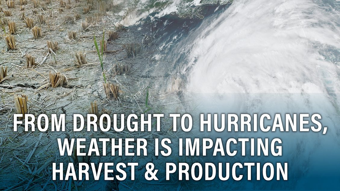 From Drought to Hurricanes, Weather is Impacting Harvest & Production
