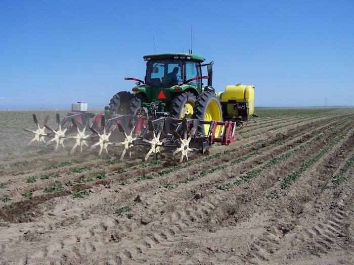 Ag Engineering & Dev. Co. Inc. Dammer Diker | Farm Equipment