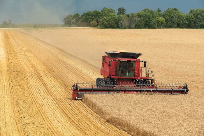 Case IH 3100 Series II Rigid and Flex Draper Headers