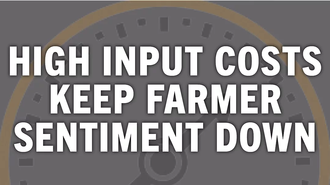 High Input Costs Keep Farmer Sentiment Down