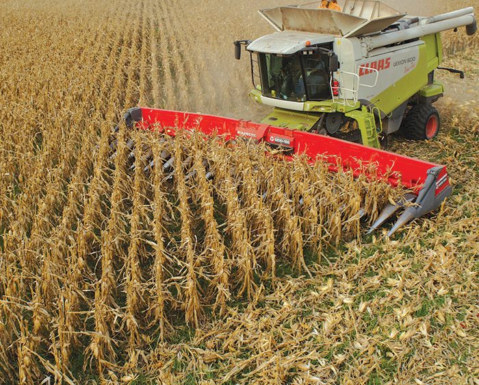 Choices Emerging for Narrow-Row Corn Harvest
